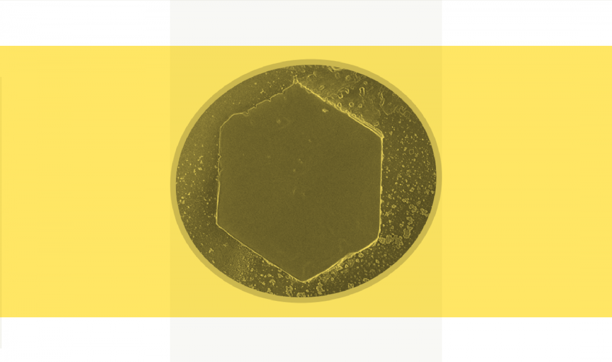 Scandinavian MIND | A green version of the super-material graphene ...